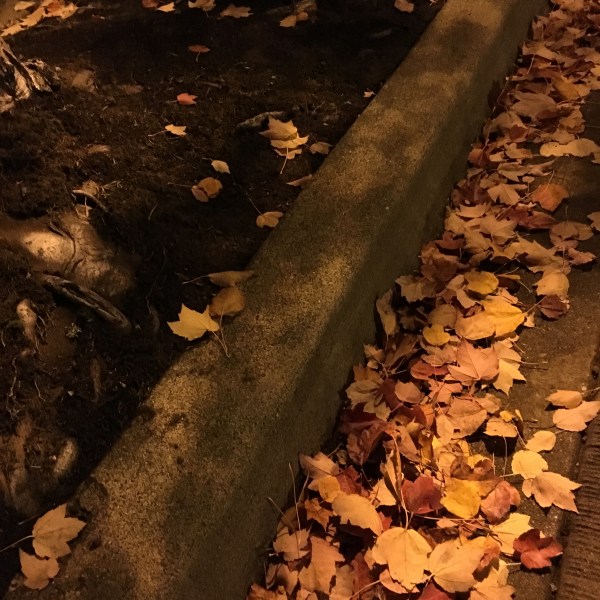 Late fall sonnet – Poetic Champions